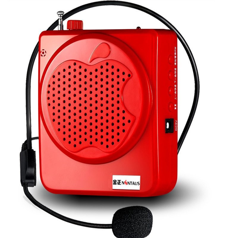 Portable Wireless Microphone for Lectures, Waist-Mounted, Suitable for ...