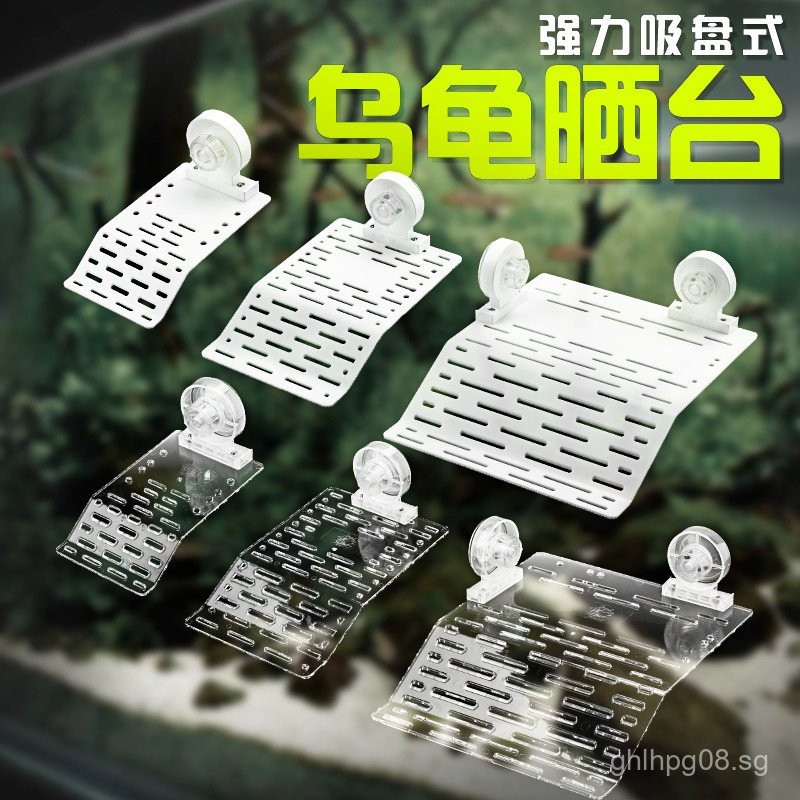 SG seller Turtle Drying Table Sucker Brazilian Turtle Terrapin Climbing ...