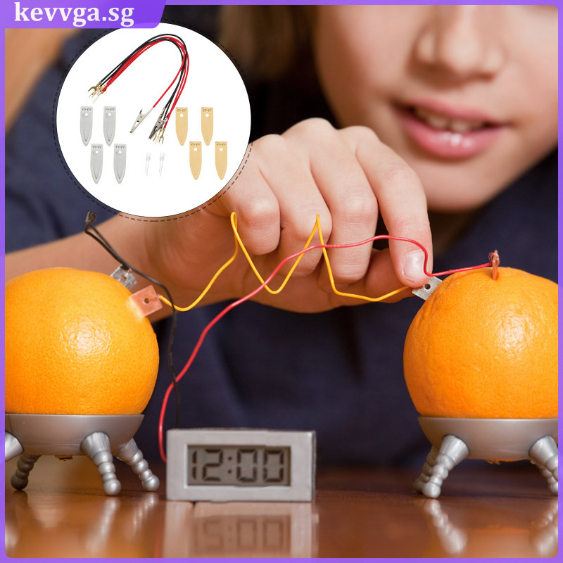 🔧 Fruit Experiment Kit Science Projects DIY Educational Tools Potato ...