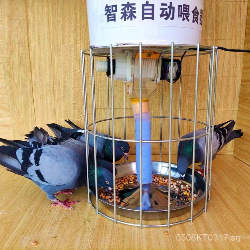 Magic Tool Supplies Timer Pigeon Feeder Device Pigeon Feeding Device ...