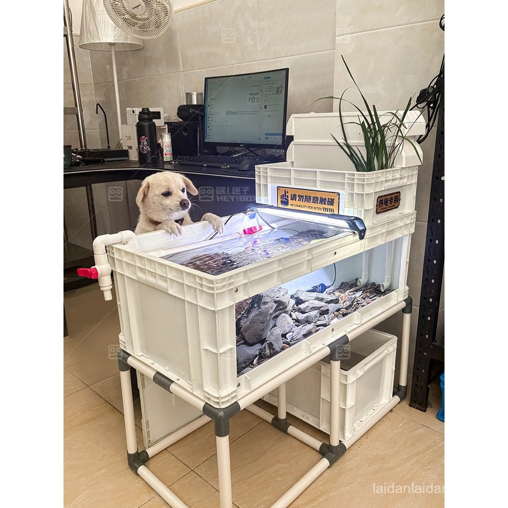 Hey Box Industrial Style Turnover Box Turtle Breeding Visible Turtle ...