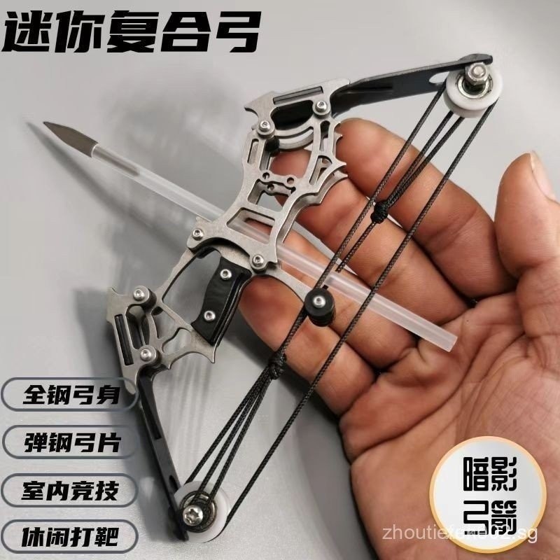 Mini Bow Arrow Mini Bow Arrow Composite Bow Pulley Bow Recurve Bow ...