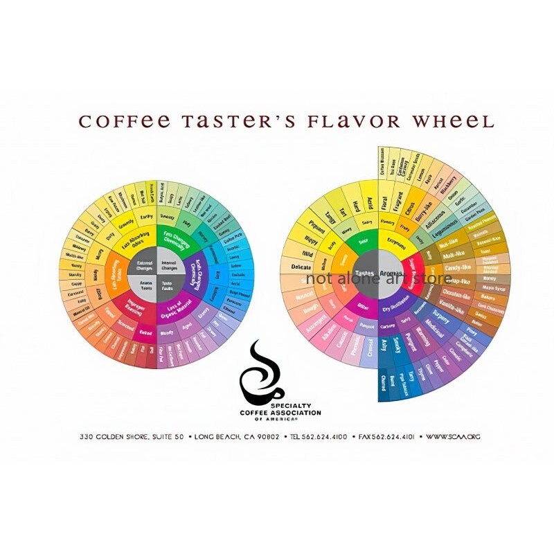 Famous Poster Coffee Taster's Flavor Wheel Guide Art Posters Canvas ...