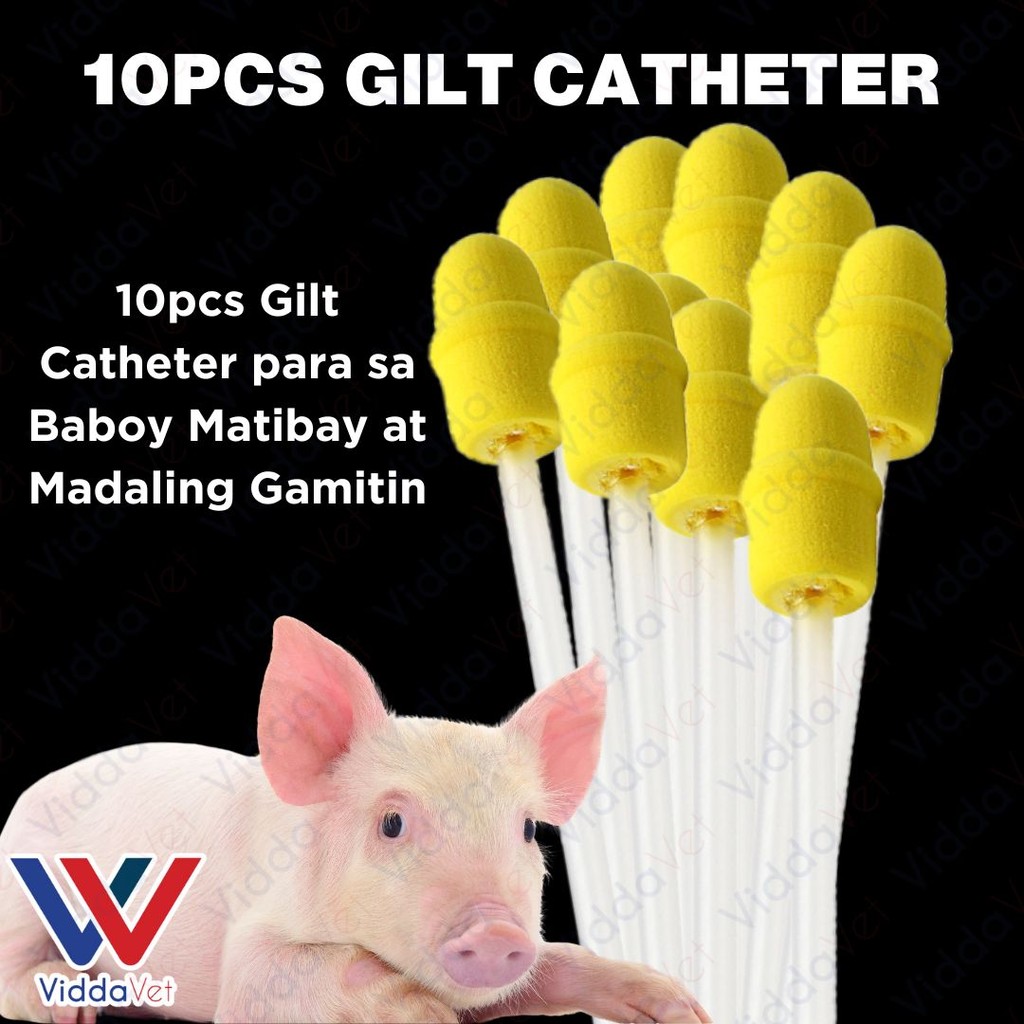 10-Piece Gilt Catheter Kit for Pig Farmers Catheter for pigs | Shopee ...