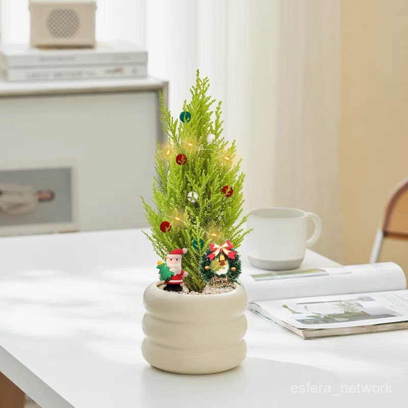 Christmas Tree Classic Style Pine Green Plant Desktop Radiation-Proof ...