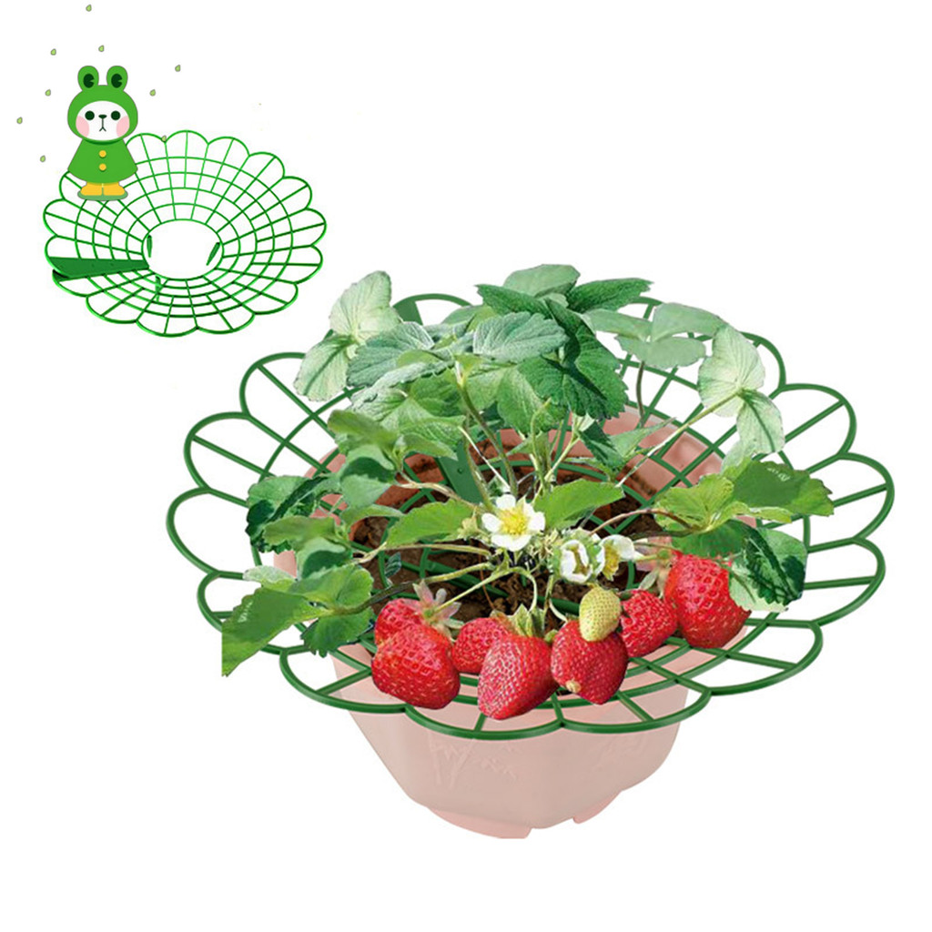 Strawberry Stand Frame Holder Balcony Planting Rack Fruit Support Plant ...
