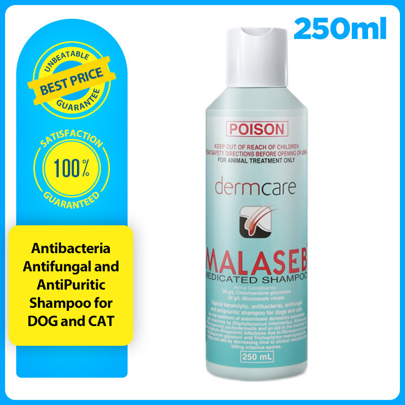 Malaseb Medicated Shampoo 250ml Antifungal Cat Dog Medicated Shampoo ...