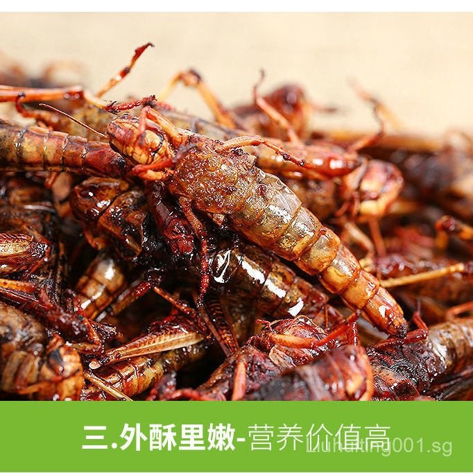 Fresh Fried Grasshopper Instant Snacks Wings Grasshopper Pungent and ...