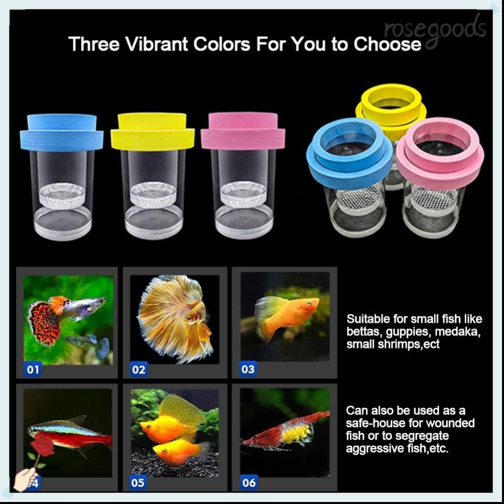 ROSEGOODS1 Floating Hatching Box, Aquarium Breeder Shrimp Guppy ...
