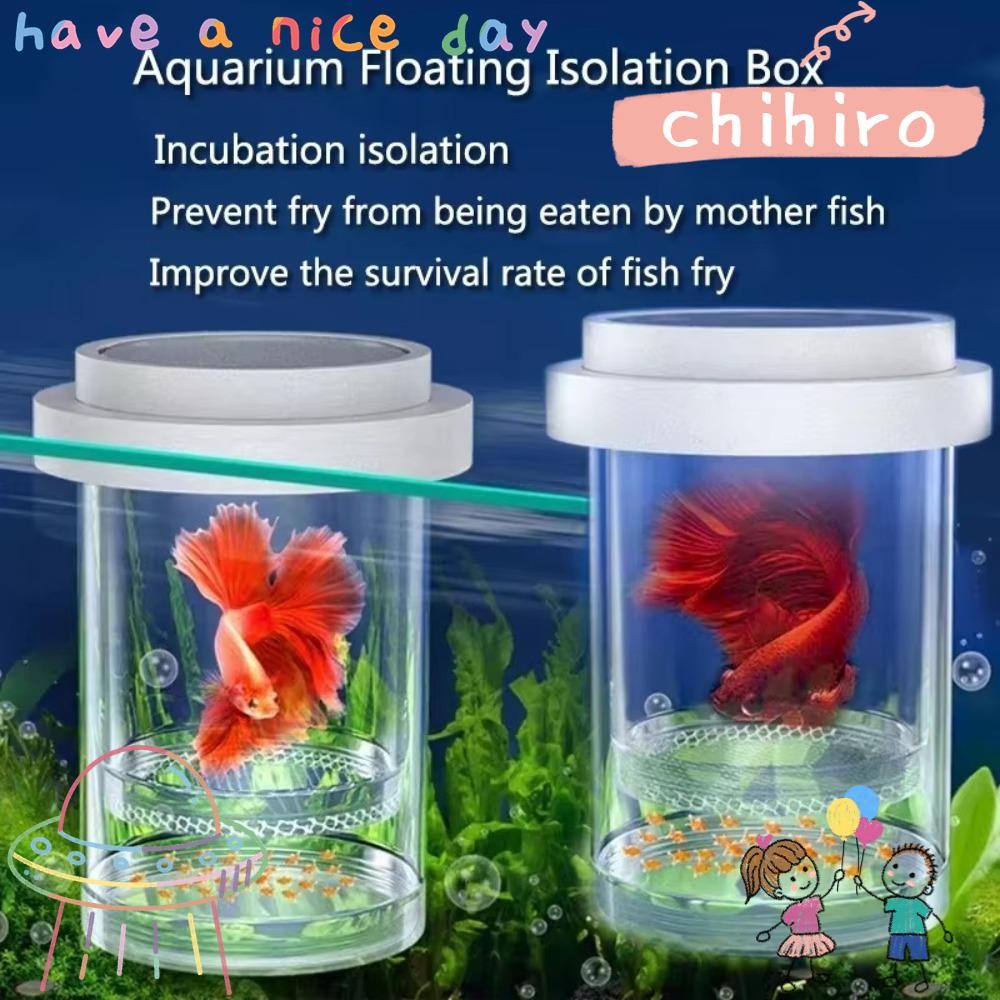 CHIHIRO Floating Hatching Box, Aquarium Breeder Transparent Floating ...