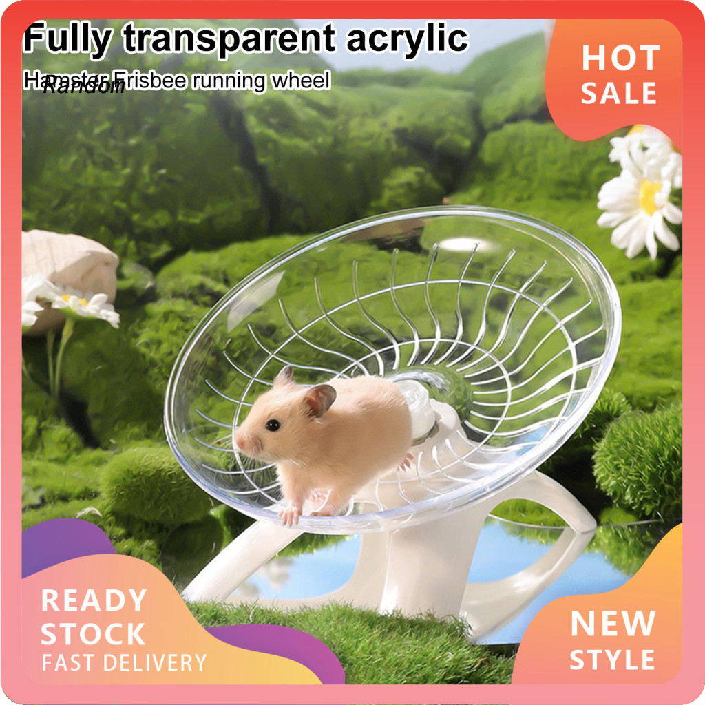 RAN Hamster Wheel Toy Friction-enhanced Climbing Toy Silent Hamster ...