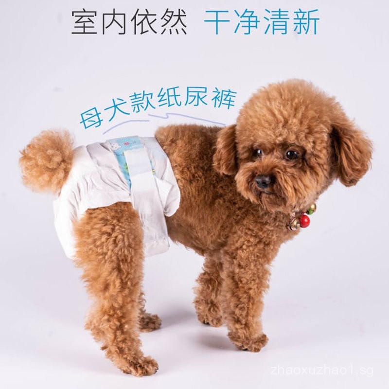 Female Dog Physical Pants Female Dog Baby Diapers Menstrual Period ...