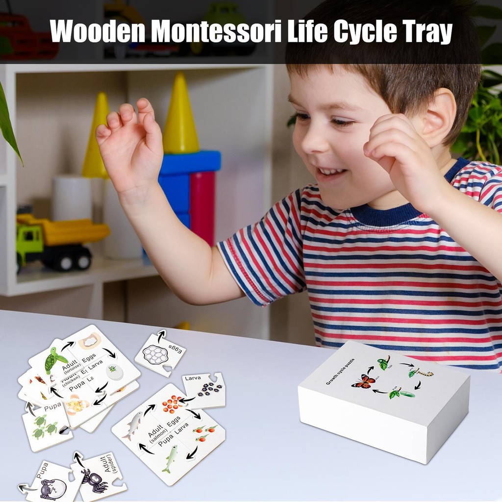 Life Cycle Puzzle Reusable Life Cycle Tray Preschool Science Kit ...