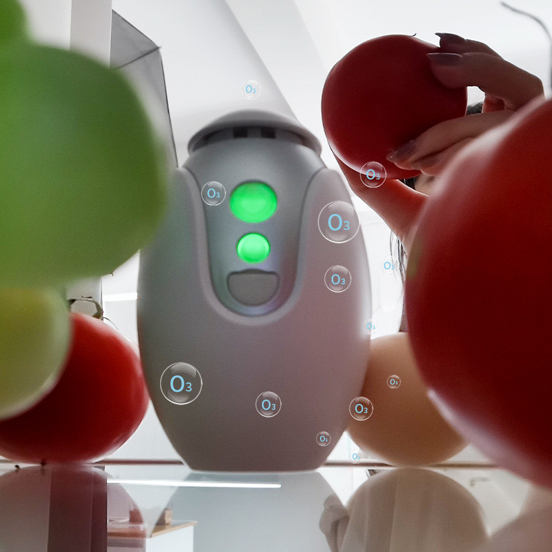 Refrigerator Air Purifier- 2500mAh Anti Bacteria Preserve Food ...