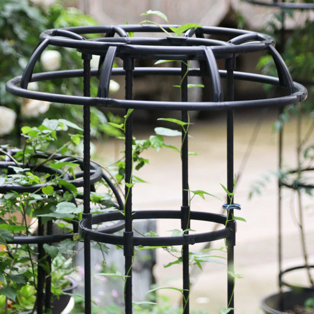 Iron art umbrella shaped flower stand climbing vine stand rose rose ...