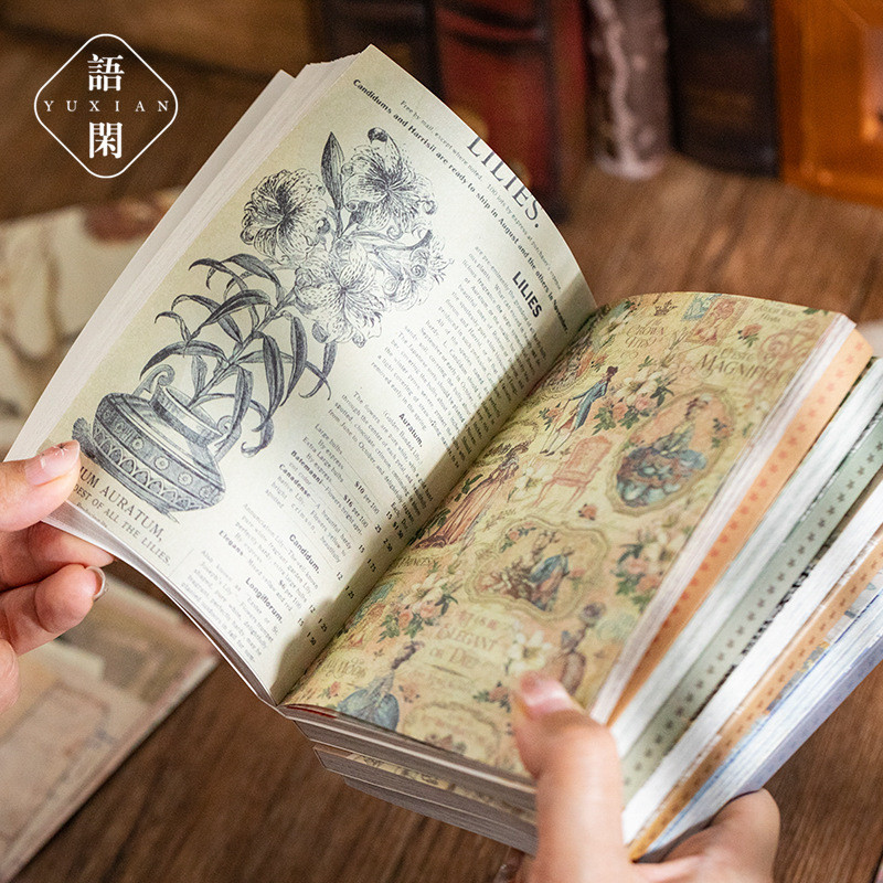 Past Handbook Series Retro Tearable Handbook Painkit diy Wall ...