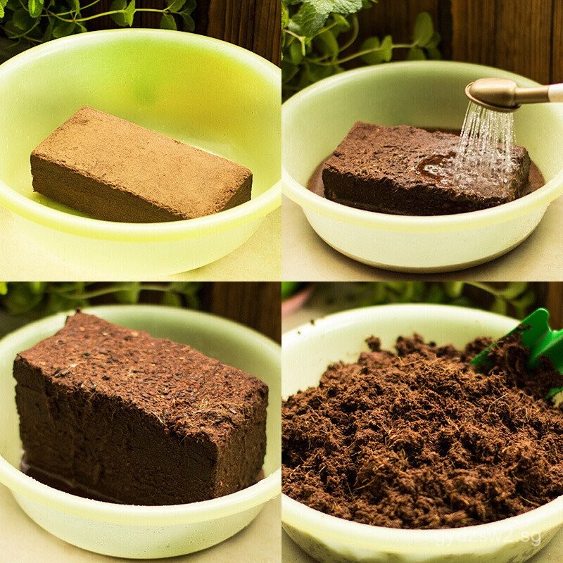 Sg Coconut Brick Flower Nutrient Soil for Flowers and Vegetables ...