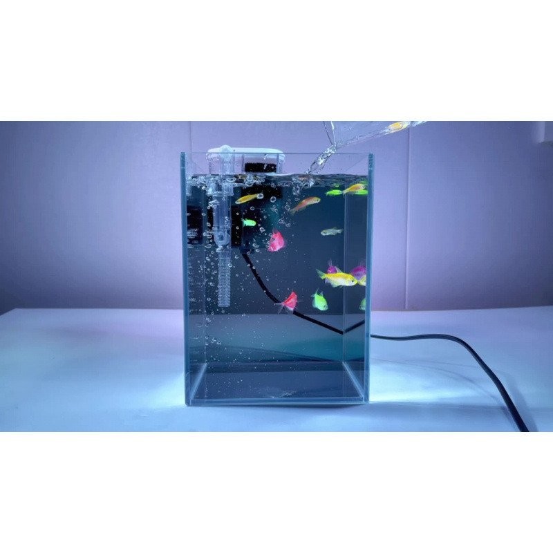 Ultra White Tank Square Tank Aquarium Ultra White Betta Small Square ...