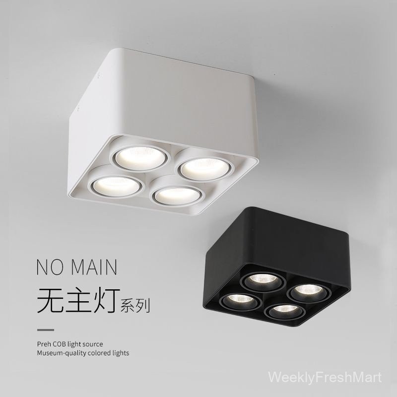 Surface Mounted Dual Head Spotlight led Ceiling Light Flush Mount ...