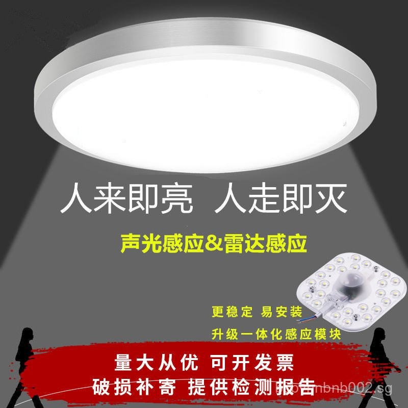 LED Voice-Activated Sensor Light Corridor Aisle Ceiling Light Radar ...