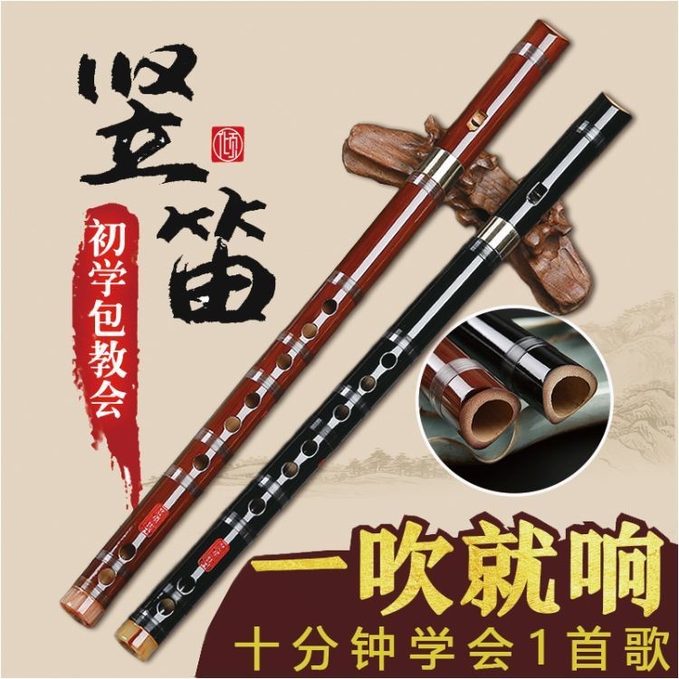 Sg SELLER Recorder Musical Instrument Self-Study Beginner 6-Hole Six ...