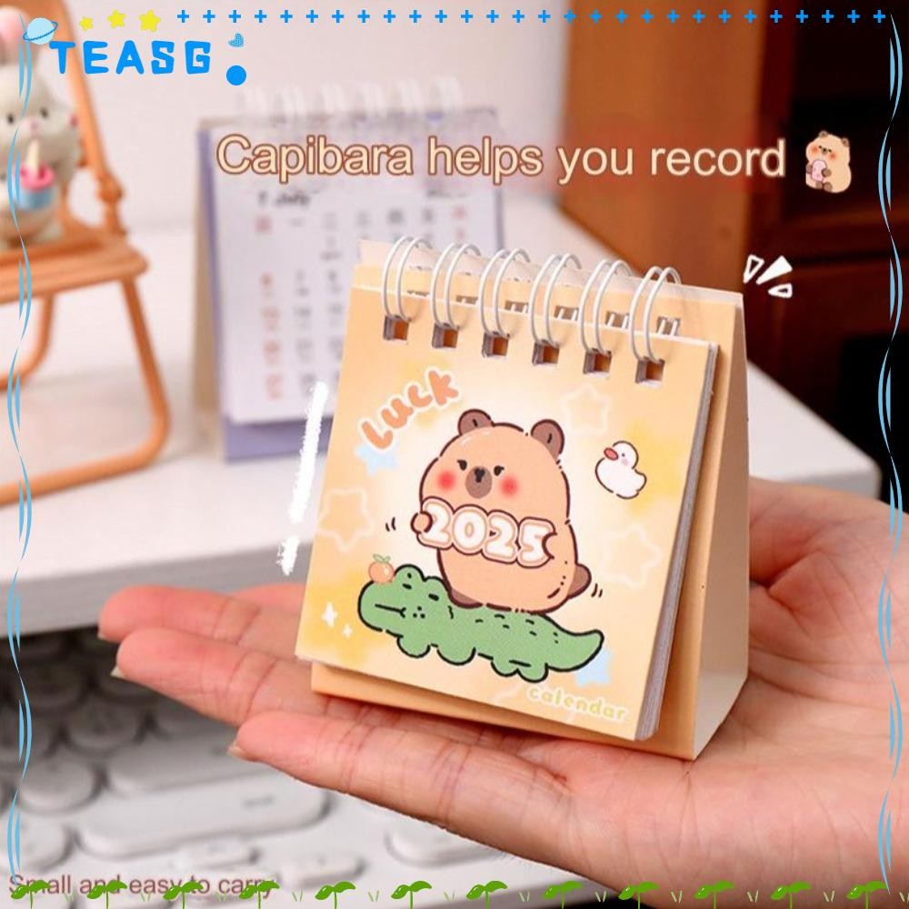 TEASG Capybara Calendars, Cartoon Chiikawa Mini Desktop Calendars, 2025 ...