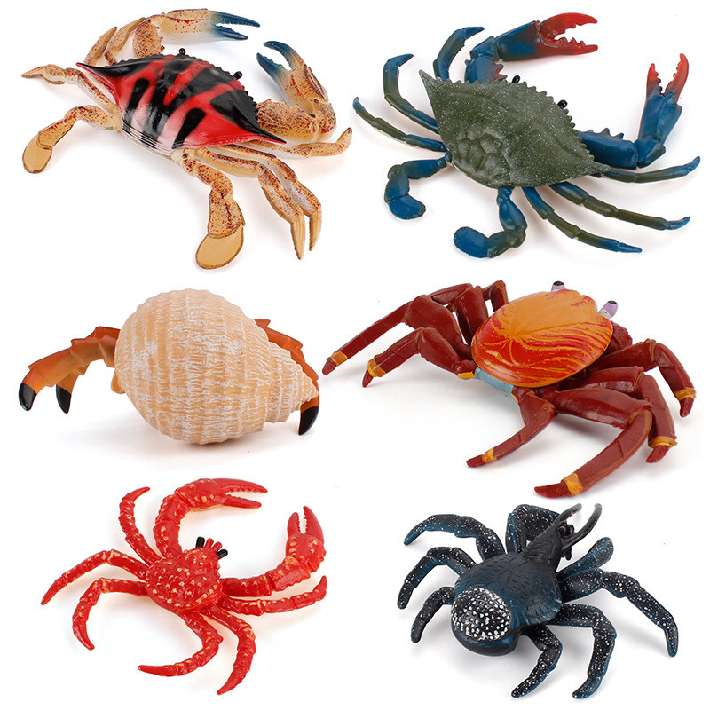 Simulation Marine Life Crab Model King Crab Hermit Crab Coconut Crab ...