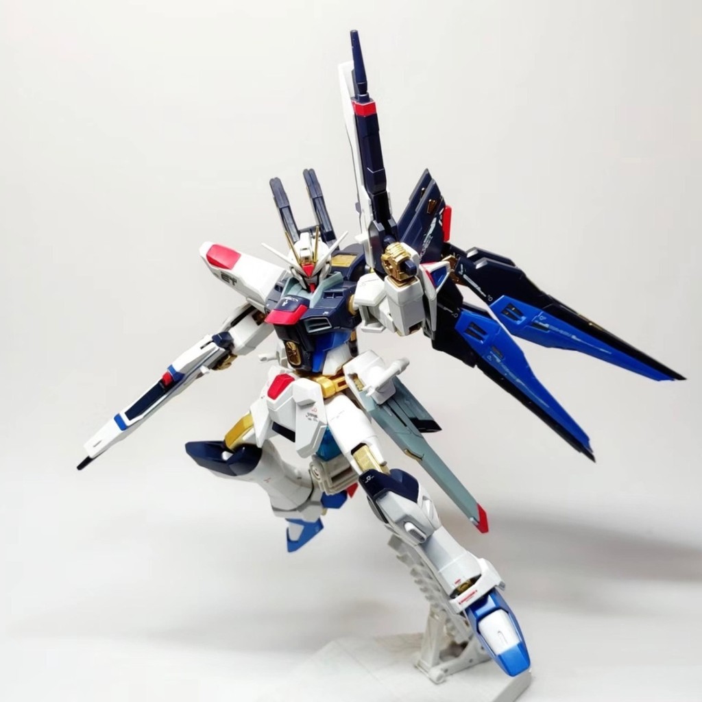 [Showdown] New Product 201 Newborn Edition Strike Freedom Gundam HG ...
