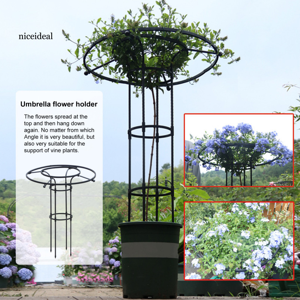 [Nice] Adjustable Height Plant Support Metal Garden Trellis for ...