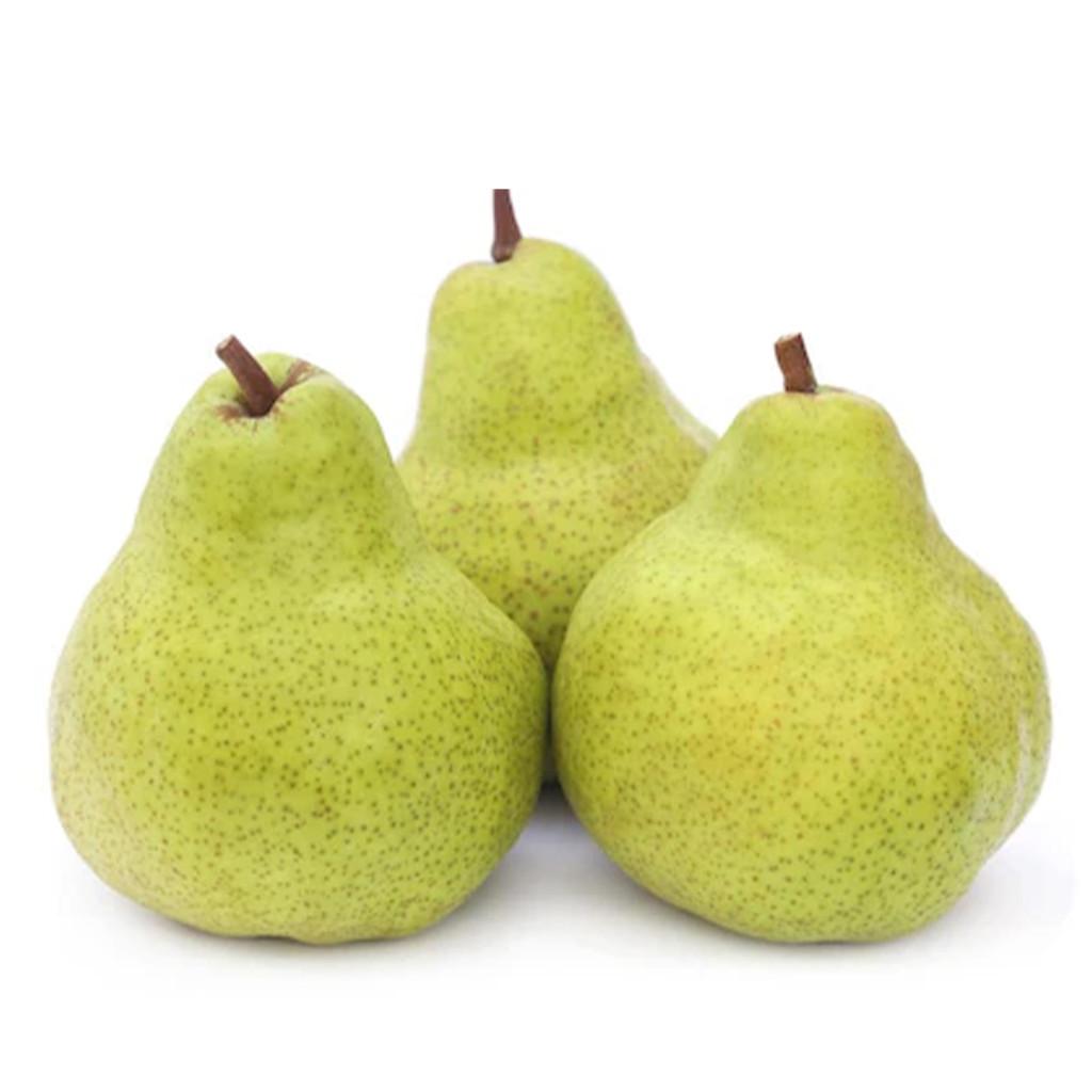 Packham Pear Australia 750g | Shopee Singapore