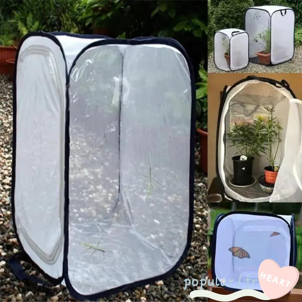 POPULAR1 Butterfly Habitat, Collapsible Pop-up Insect Cage, Outdoor ...