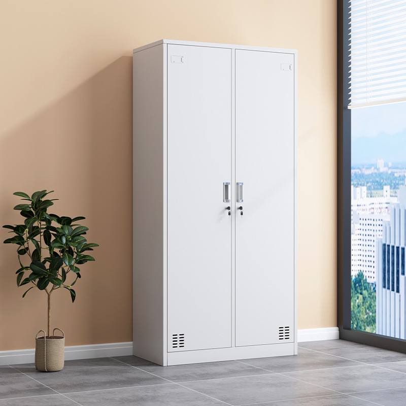 Steel Wardrobe Employee Cabinet Dormitory Two-Door Iron Locker Locker ...