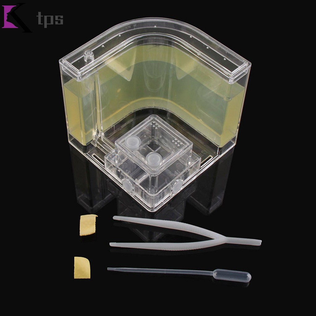 3D Ant Farm Educational Maze Ant Works Castle Experiment Toy for Study ...