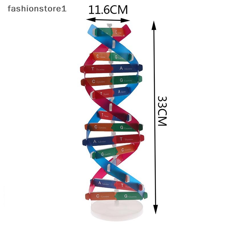 [fashionstore1] Human Genes DNA Models Double Helix Science Toys ...