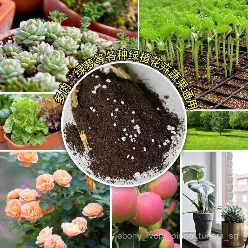 Nutrient Soil Universal100Jin Household Soil Gardening Soil Flower ...