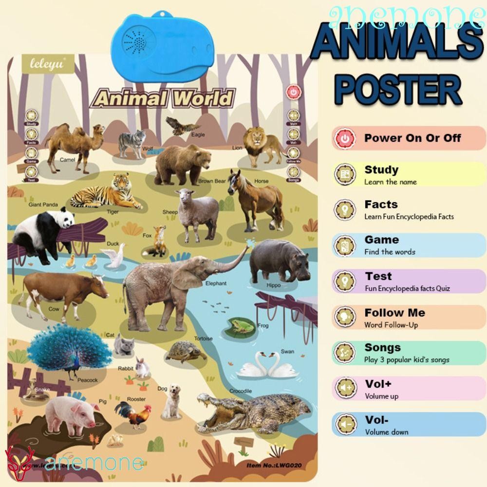 ANEMONE English Alphabet Wall Chart, Electronic Learning English ...