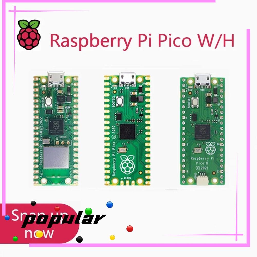 POPULAR Raspberry WiFi Board, Type-C DIY Raspberry Pi Pico Board, Replacement RP2040 Original ...