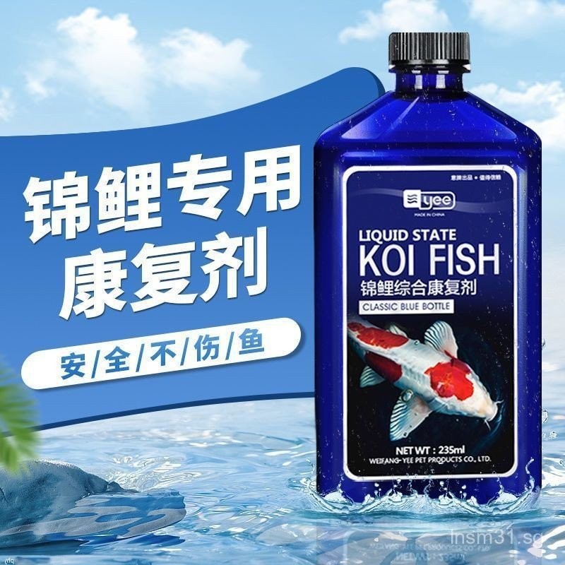 Sg[Highly effective prevention]Special Fish Medicine for Koi: Goldfish ...