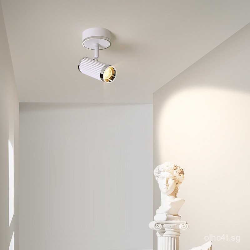 Surface Mounted Ceiling Small Spotlight led Ceiling Lamp Single ...