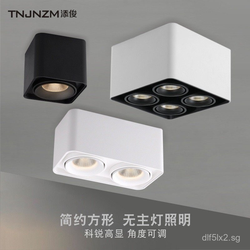 Square LED Surface Mounted Downlight Simple Living Room Aisle Corridor ...