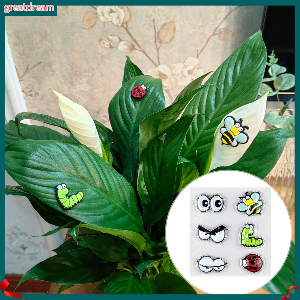 greatdream| Unique Plant Accessories Monstera Magnet Eyes Adorable ...