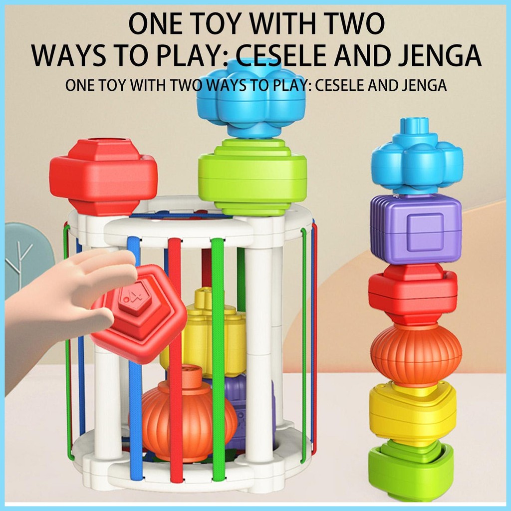 Block Sorter Colorful Sensory Sorting Toys Educational Sensory Block ...