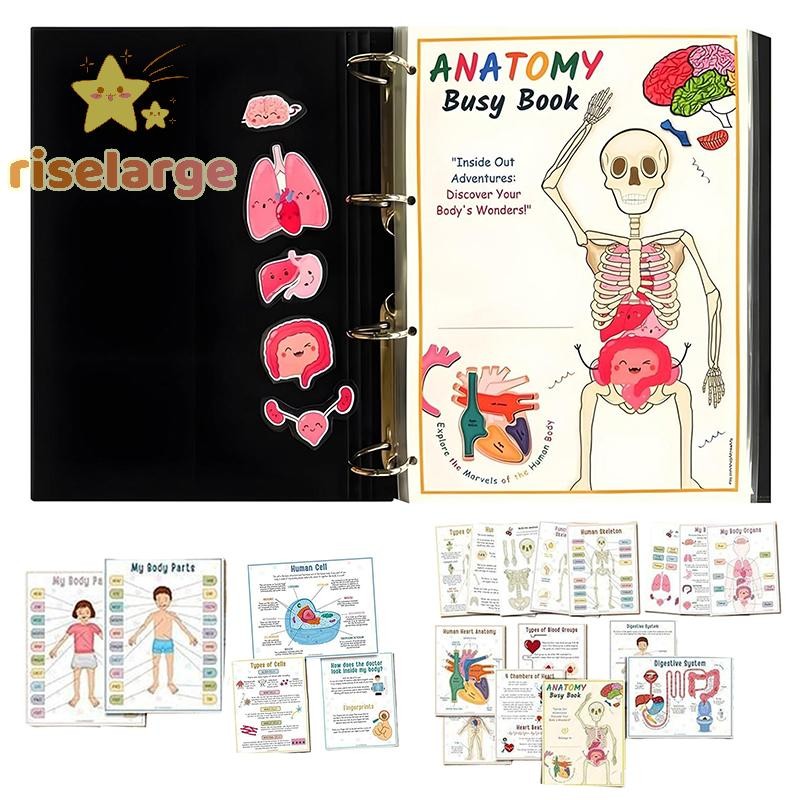 [RiseLargeS] Human Anatomy Busy Book Human Organ Match Preschool ...