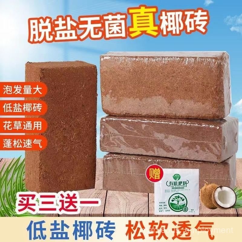 Coconut Shell Brick Coarse Coconut Shell Flower Cultivation Nutrient ...