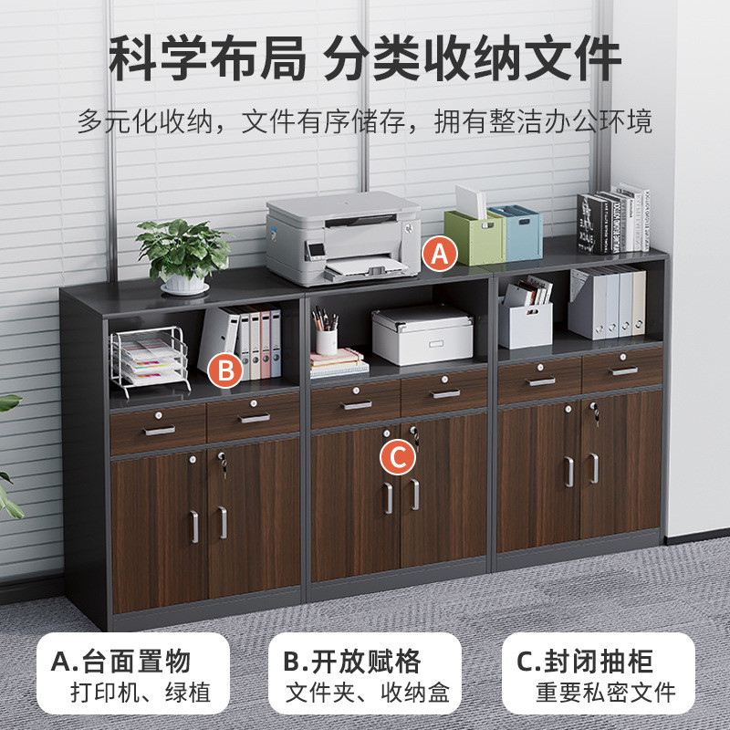 Office Data Cabinet File Cabinet Partition Planter Cabinet with Lock ...
