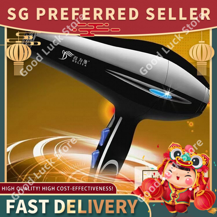 【Good Luck Store】Professional Hair Dryer Cold and Warm Wind Drying Hair ...