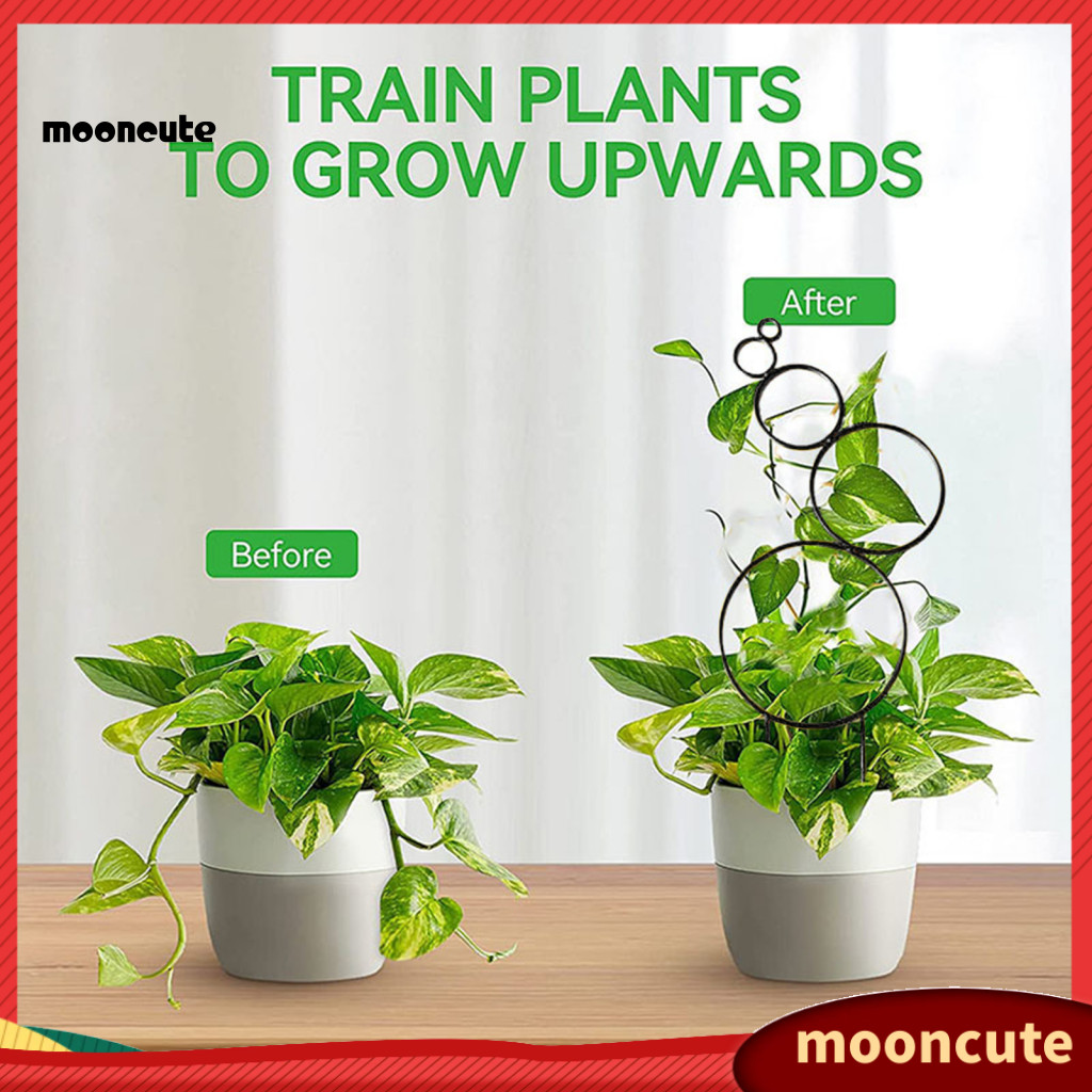 mooncute| Pothos Trellis Support Plant Trellis for Climbing Plants ...