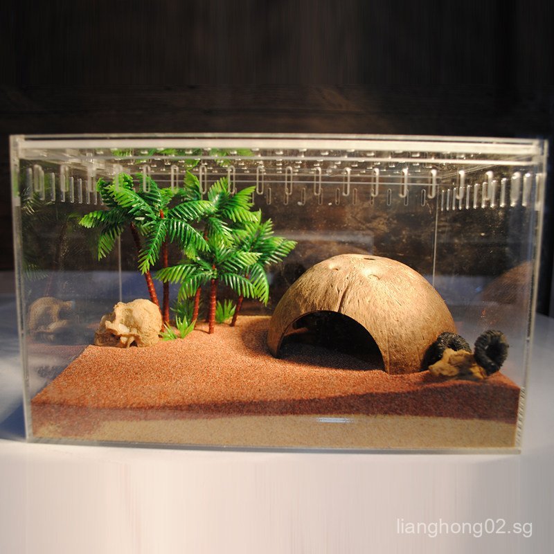Reptile Box Coconut Shell Hideout Reptile Coconut Shell House Cave ...