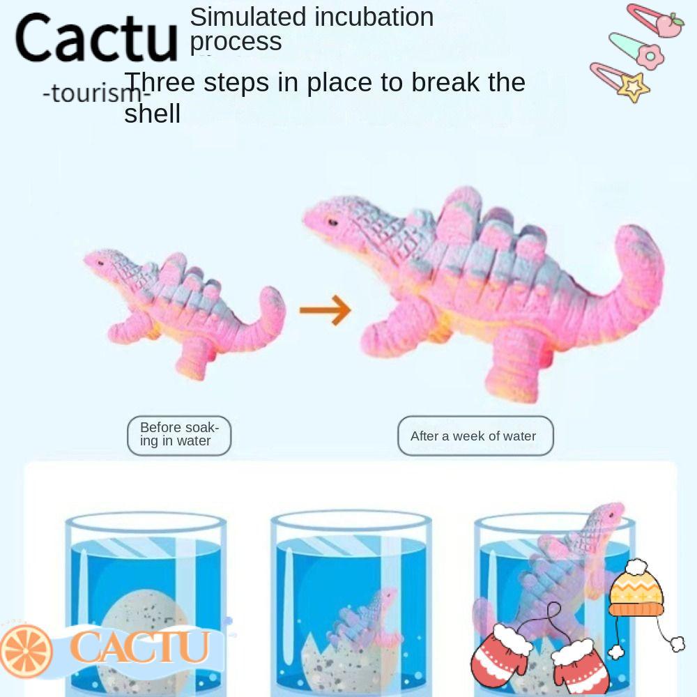 CACTUS Dinosaur Eggs Box, Soaked in Water Expand Soft Incubated Eggs ...