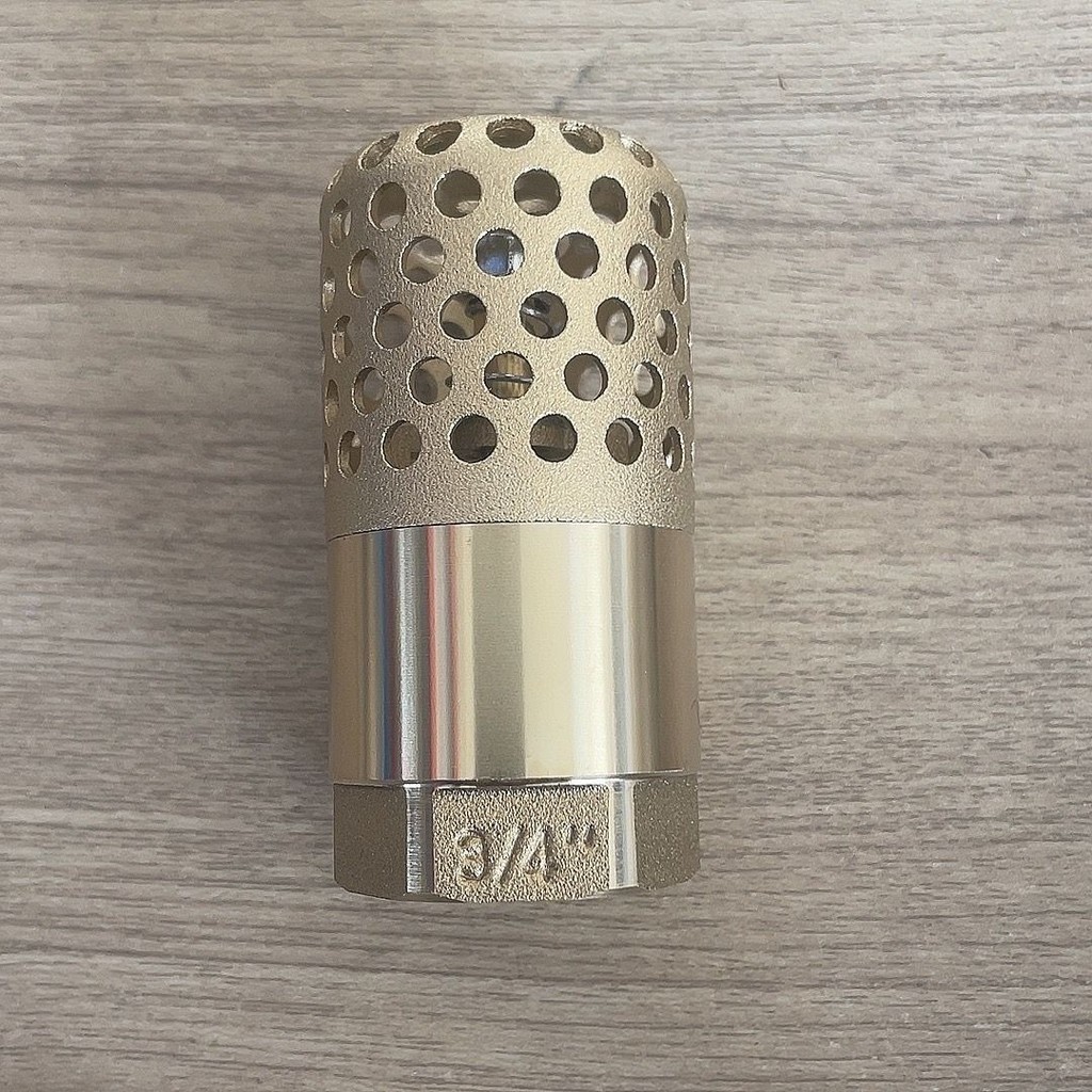 Stainless Steel Mesh Copper Bottom Valve Backflow Suction Spring ...